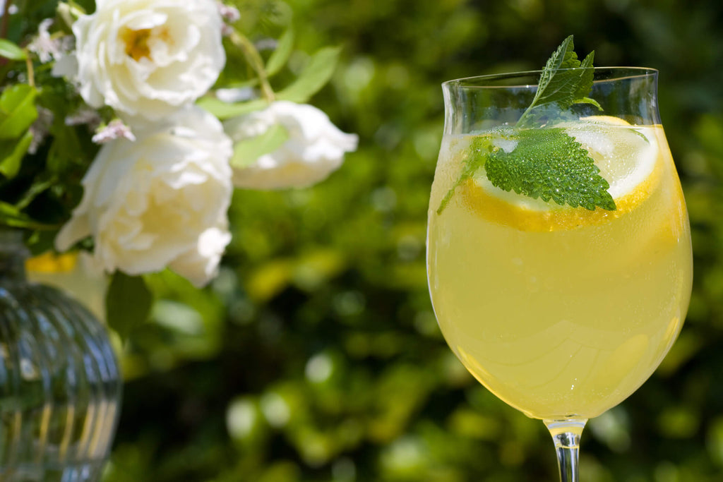 Spritz au Limoncello – La Boisson Parfaite pour l'Été – Lemon Brothers